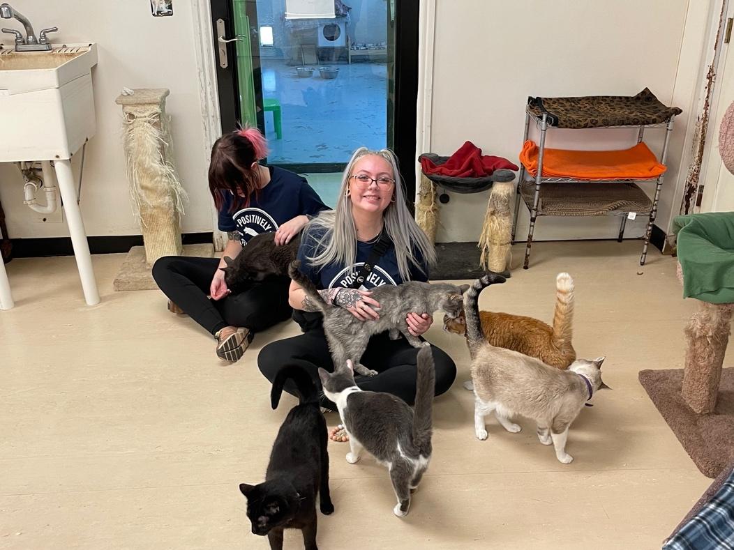 At local no-kill shelter, dogs and cats are Free to Live - UCentral Media