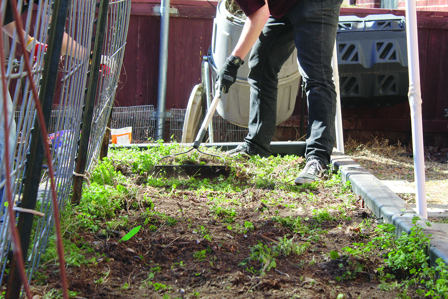 Botany Club cleans up Community Garden for spring planting - UCentral Media